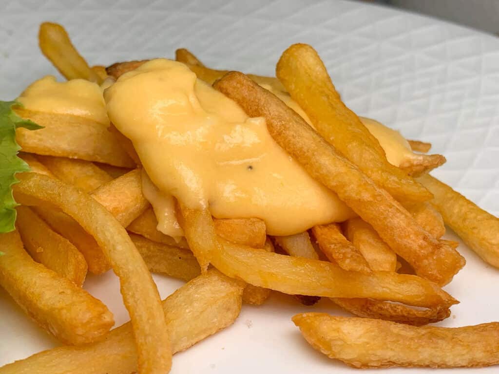 Rachael's Cheese French Fry Topping - Hot Rod's Recipes